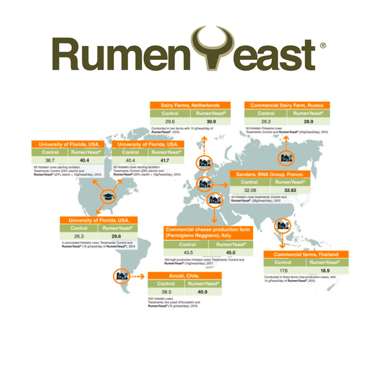 RUMEN YEAST - Soluciones innovadoras para nutrición y salud animal